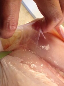 ファシア(筋膜)とは？初心者にもわかりやすい「筋膜の基礎知識」 - 拝志フィジカルセラピー Fascia lab(ファシアラボ)